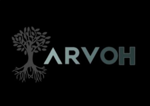 ENTREVISTA| Arides César — CEO & Founder da Arvoh→ "A decisão ...